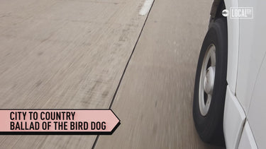 Shopping in Brenham, TX | Handcrafted Goods | Ballad of the Bird Dog